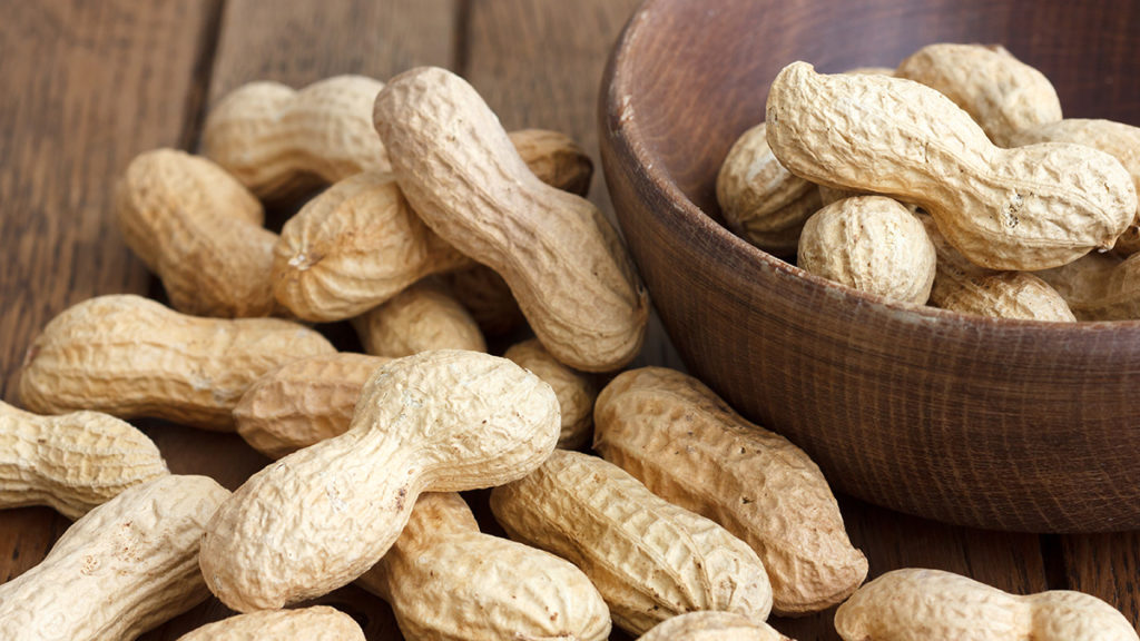 Facts About Peanuts | Cheryl's Cookies