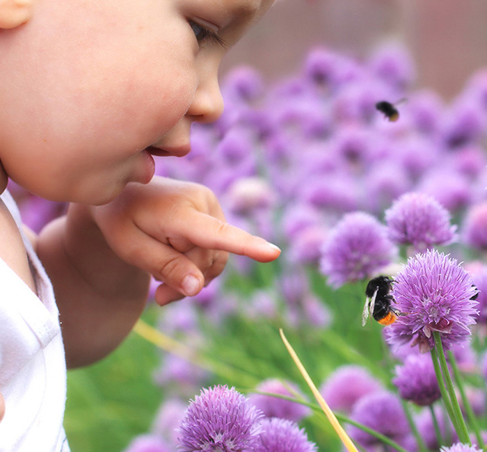 70 Inspiring Spring Quotes | Scrumptious Bites